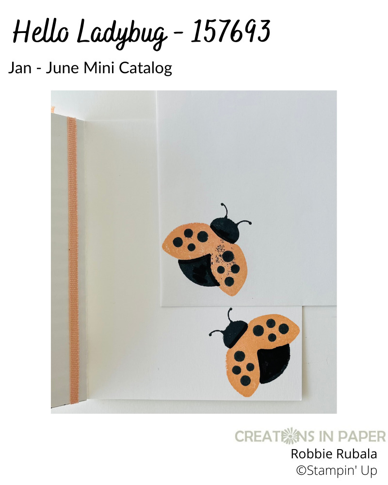 Stampin' Up Hello Ladybug in Petal Pink - Creations in Paper