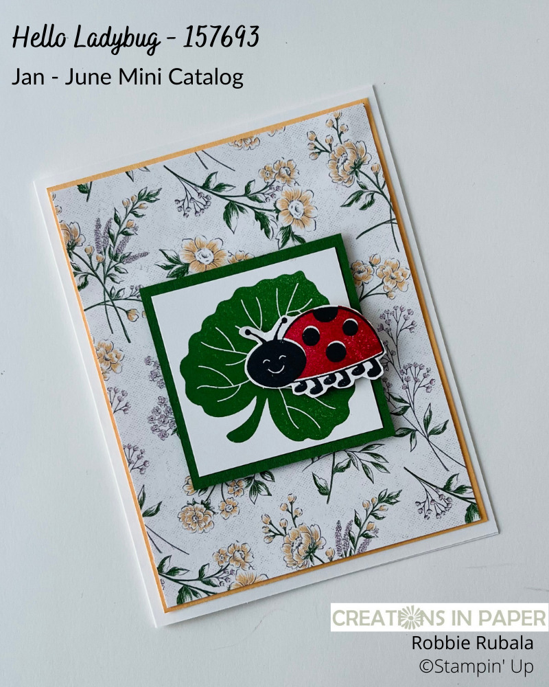 Stampin' Up Hello Ladybug - Creations in Paper