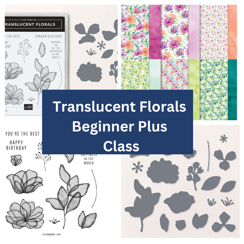 Translucent Florals for Inspiration in Ink blog hop - Creations in Paper